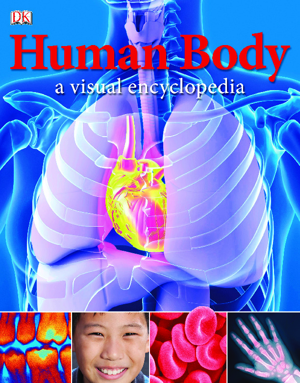 Human Body - A Visual Encyclopedia PDF download Human Body - A Visual Encyclopedia PDF download